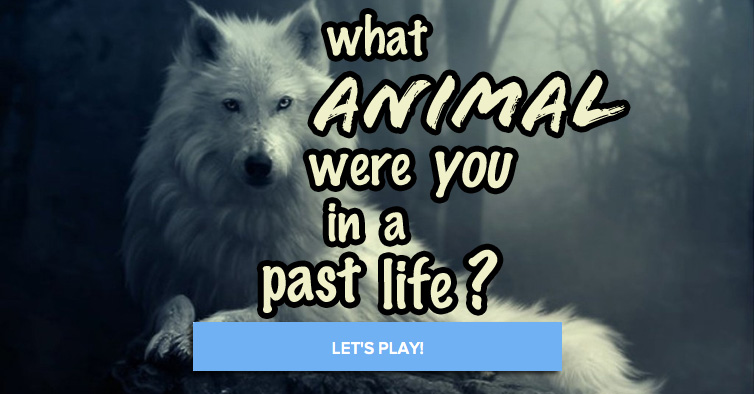 Which Animal Were You In A Past Life - Namastest