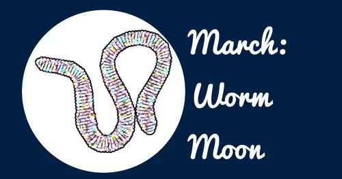 March Worm Moon - Namastest