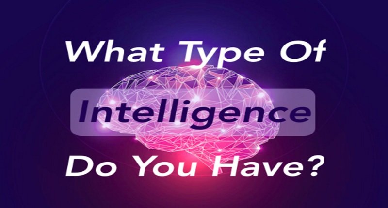 What Type Of Intelligence Do You Have - Namastest