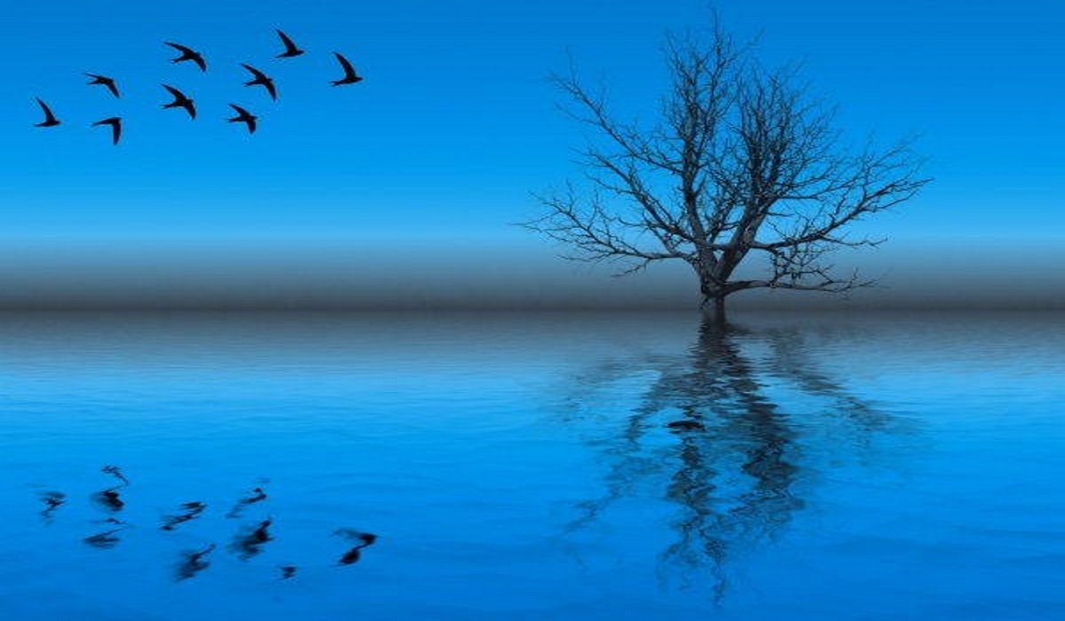 Blue Hour : The Magic Moment Between Dark and Light - Namastest