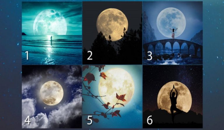 Personality Test: Choose a Moon and Discover Your Way of Being ...