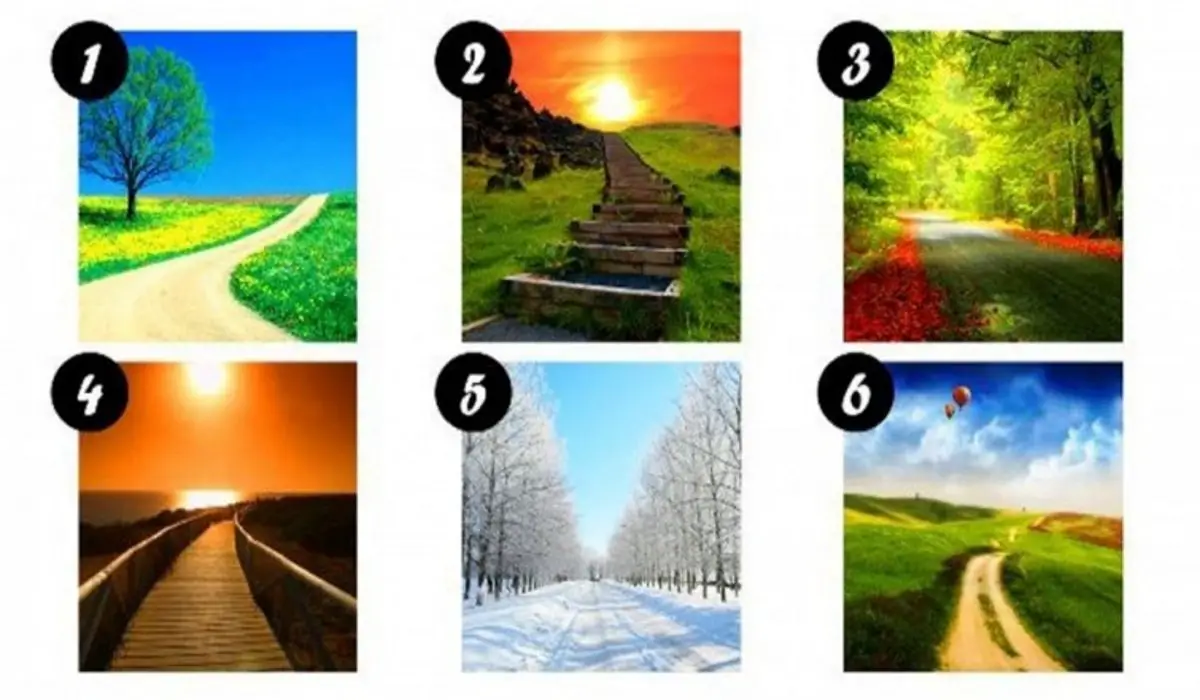 Choose a Path and Discover the Most Important Aspects of Your Life ...