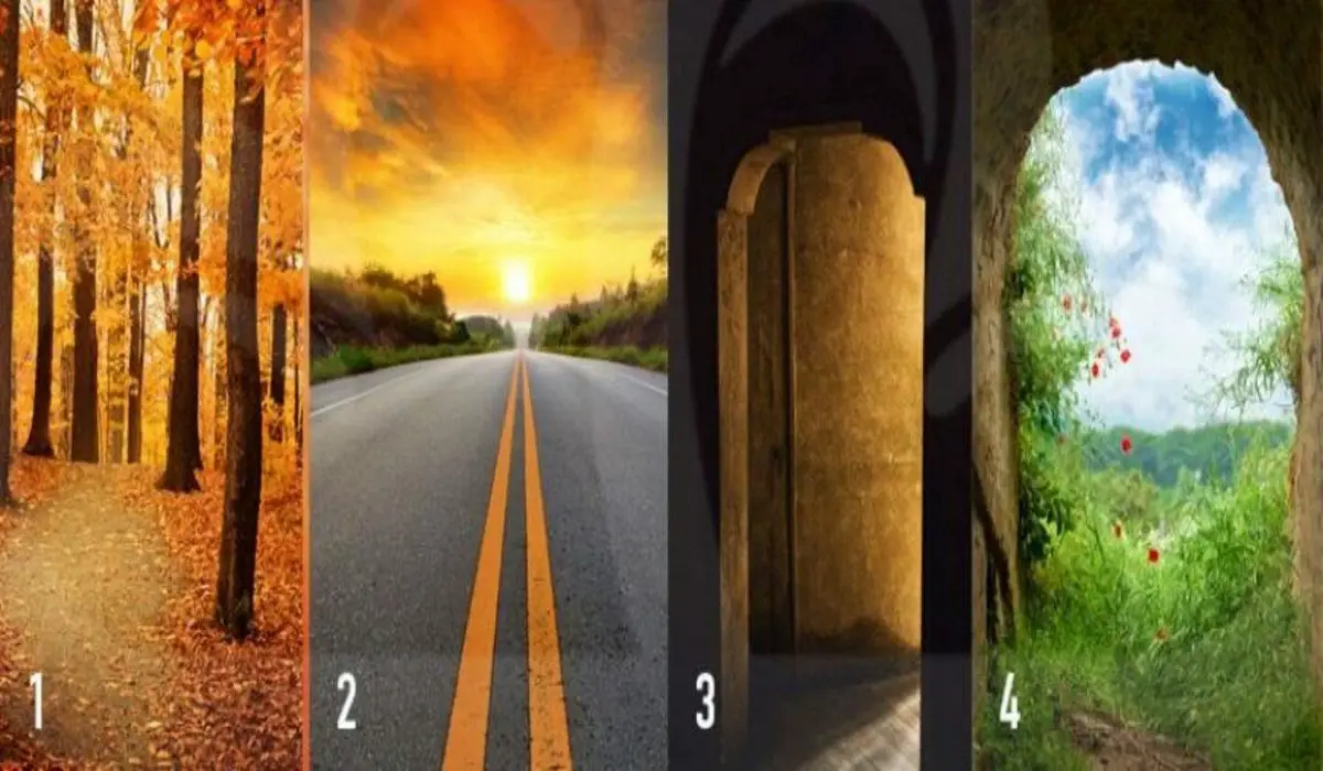 Do You Know What Your Real Priorities Are? Choose a Path and Discover ... Do You Know What Your Real Priorities Are? Choose a Path and Discover ...