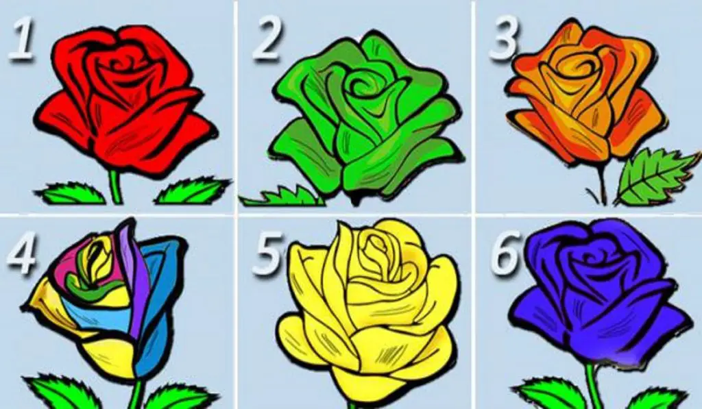 Which Rose Attracts You Most It May Reveal Many Things About You Namastest