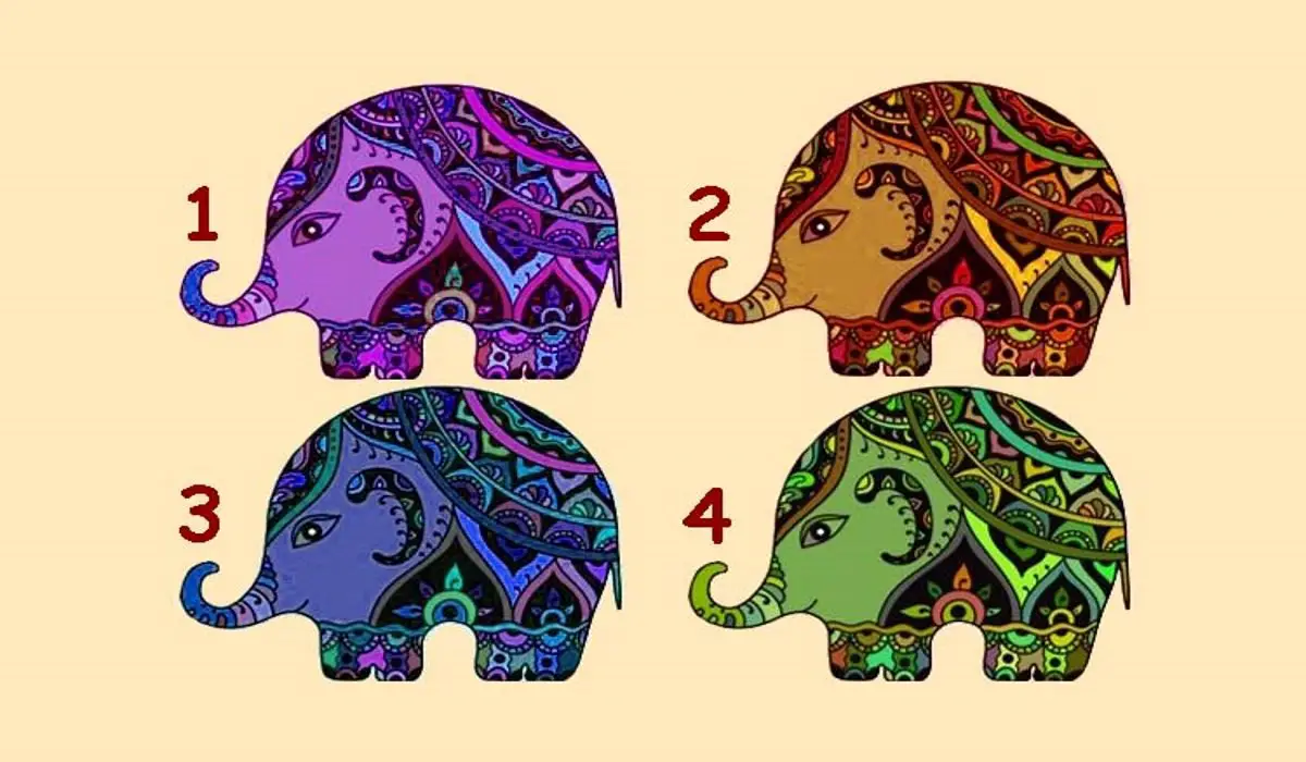 Discover What Your Strength Is by Choosing an Elephant - Namastest