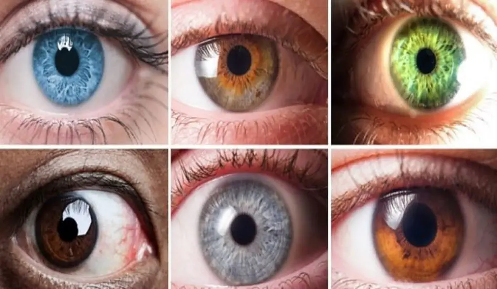 What Color Are Your Eyes Find Out What They Say About You Namastest