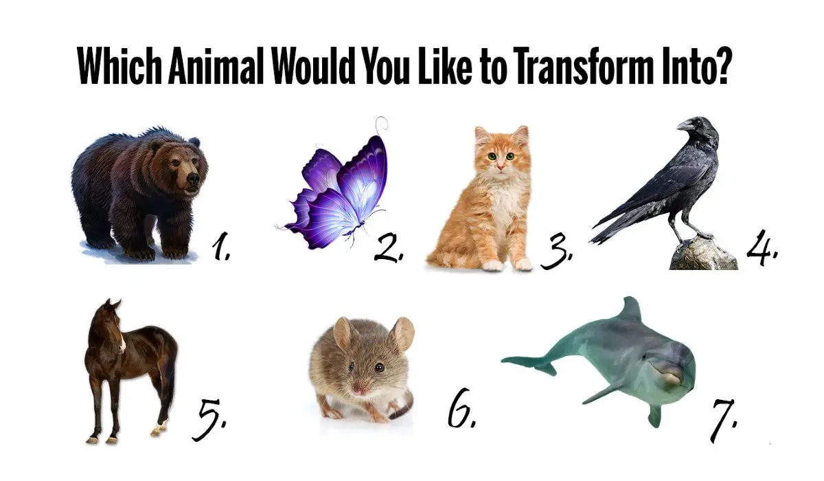 Wich Animal Would You Like to Transform Into - Namastest