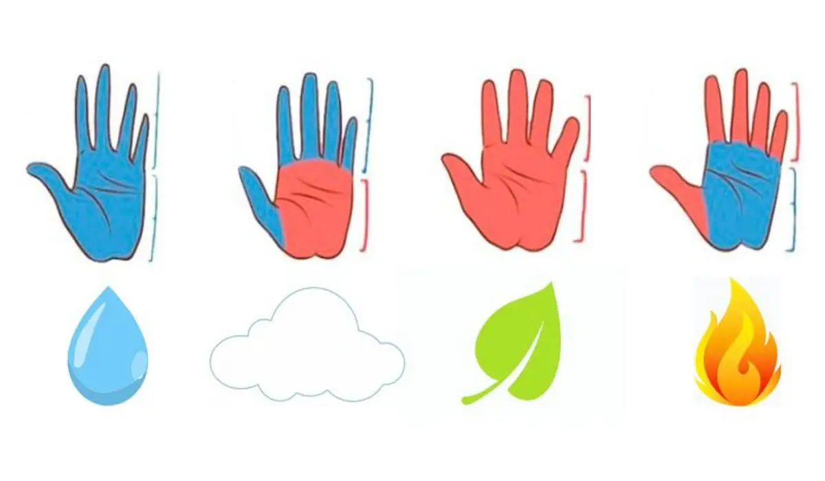 The Secret of Your Personality Is in The Shape of Your Hands - Namastest