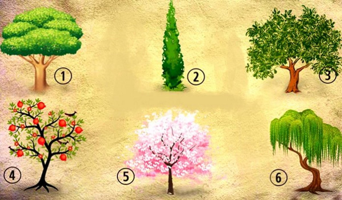 Which Tree Would You Plant in Your Garden? Choose One and Find Out ...