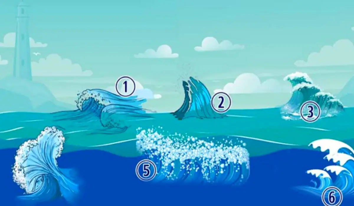 Put your Personality to the Test Through the Ocean Wave Test - Namastest