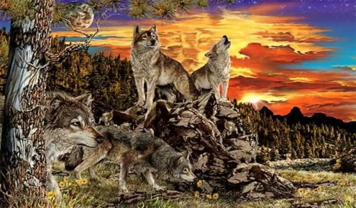 How Many Wolves Have You Seen? Discover New Things About Yourself ...