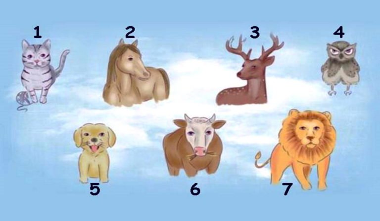 Choose an Animal And Discover Your Most Striking Personality Trait ...