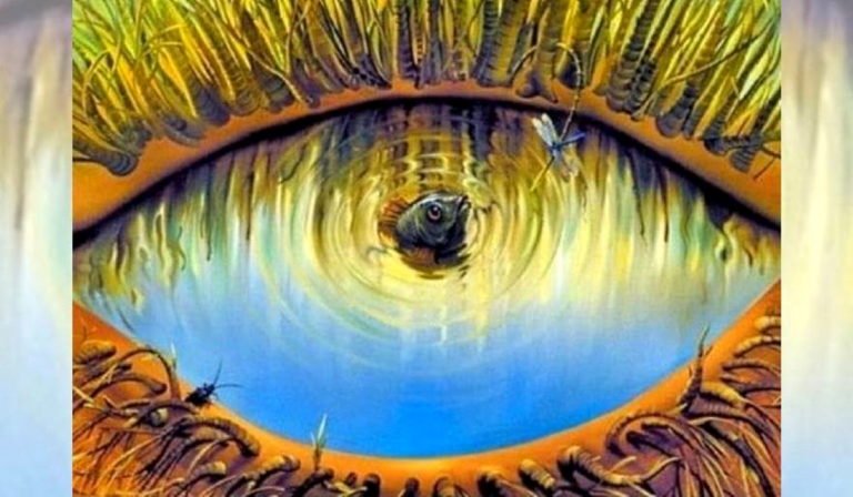 The First Thing You See In The Image Will Tell A Lot About Your Way Of ...