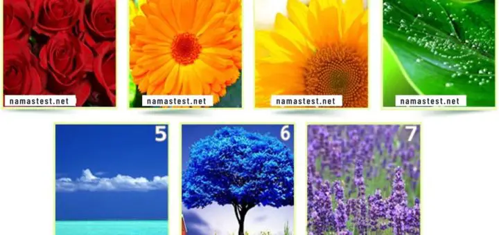 This Scientific Color Test Will Reveal What Type Of Person You Really ...