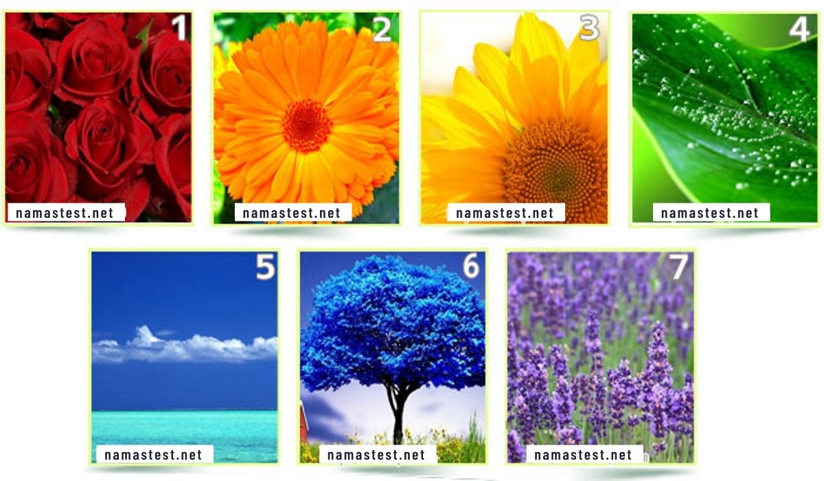 Choose Your Favorite Color And We Will Tell The Most Accurate Details ...