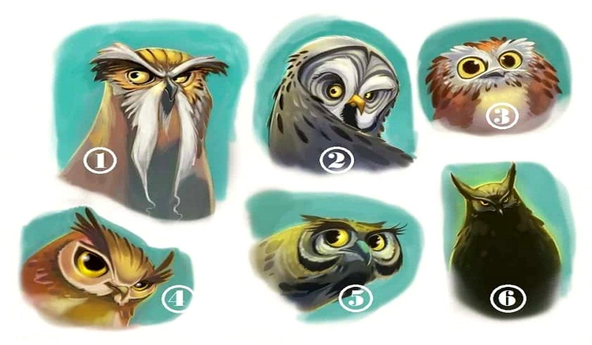 Do You Feel that You Need Some Advice Today? Choose One of the Owls for ...