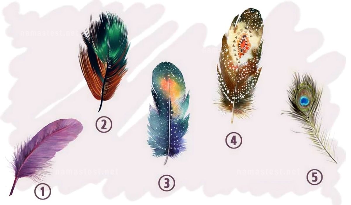 The Feather You Choose Will Reveal Hidden Aspects Of Your Inner Being ...