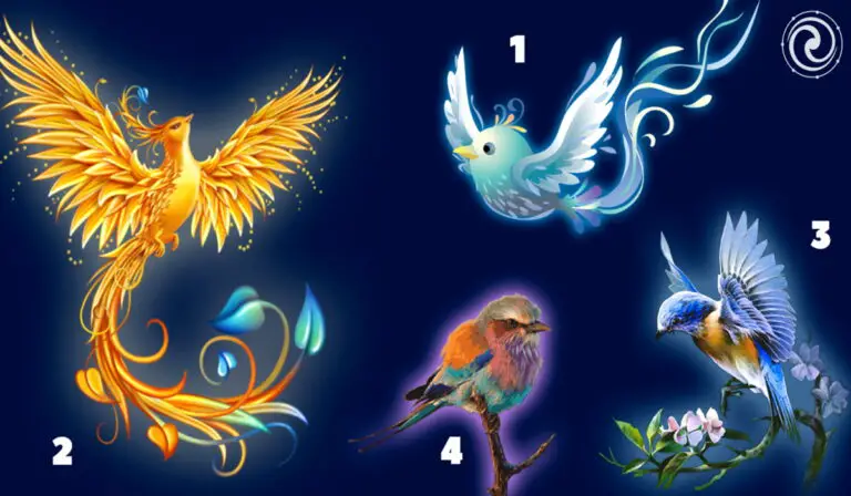 The Magic Bird You Choose Will Tell You What Awaits You Next Month ...