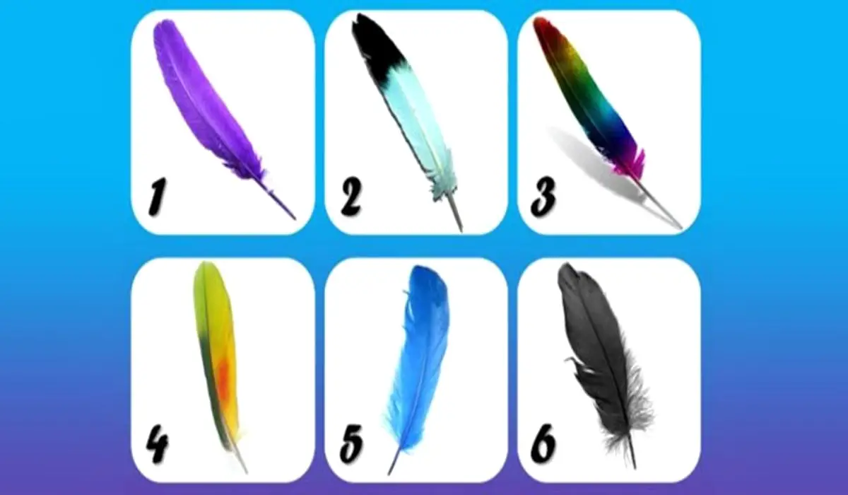 The Feather Your Choose Reveals Your Biggest Challenges Also Has a ...