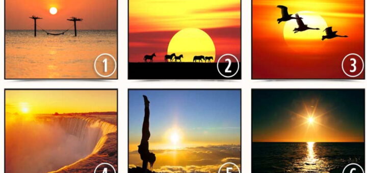 Personality Test: What Do You See First Will Determine Your Personality ...