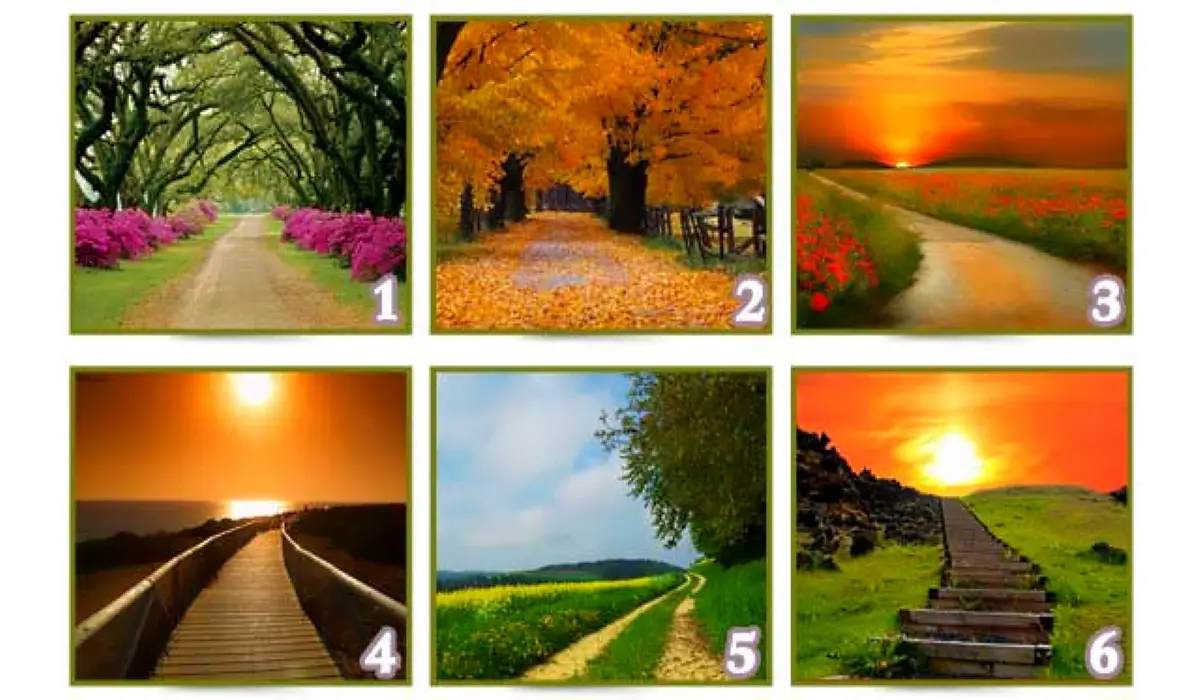 Which Path do You Choose? Discover the Meaning of Your Choice - Namastest