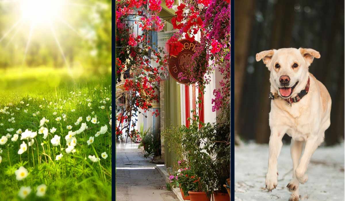 Discover How Your Thoughts And Emotions Are Right Now - Namastest